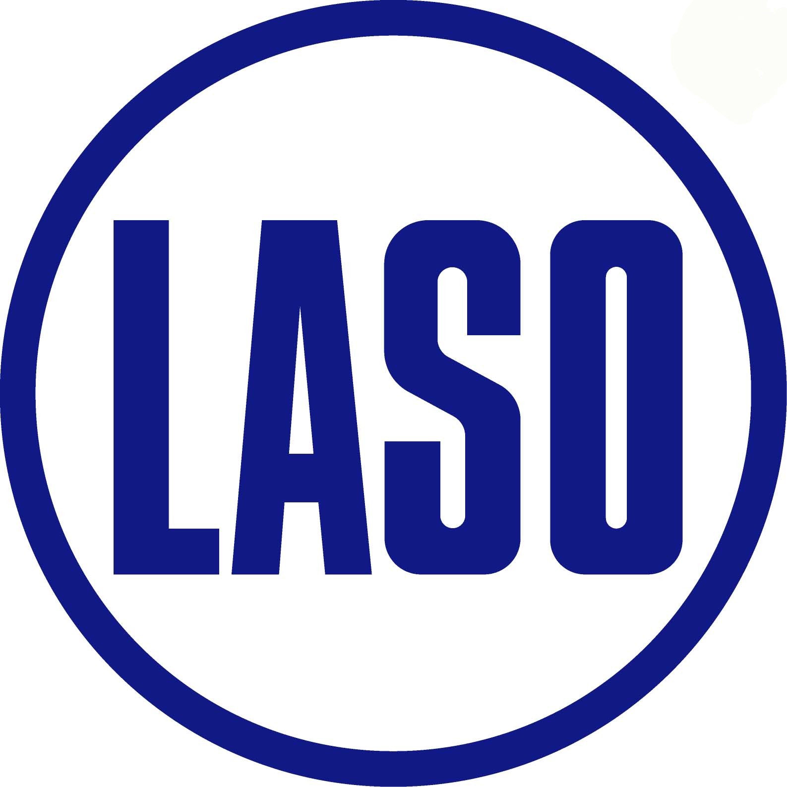 LASO 98581801 OIL PUMP KIT VOLVO TRUCK TD40A/TD50/TD60/TD60A
